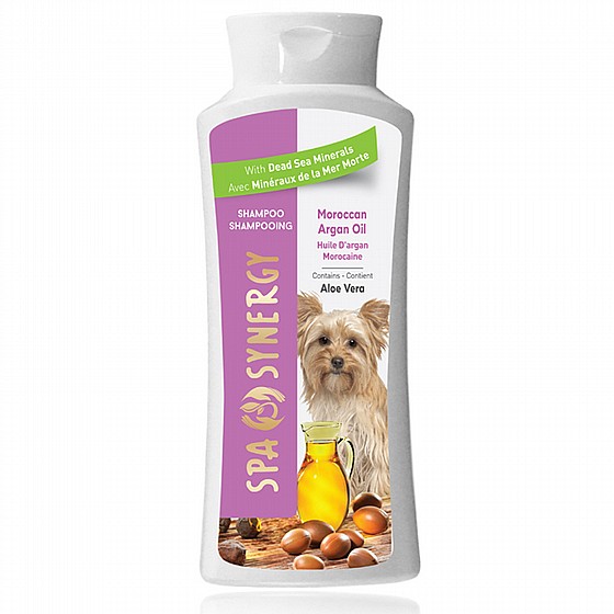 ספא סינרג'י שמפו שמן ארגן מרוקאי 500 מ''ל spa synergy maroccan argan ...